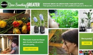 How Do You Grow Joy? #GroSomethingGreater with @MiracleGro #Giveaway