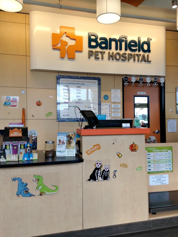 Every Day is National Dog Day at Banfield Pet Hospital #BanHeartworms