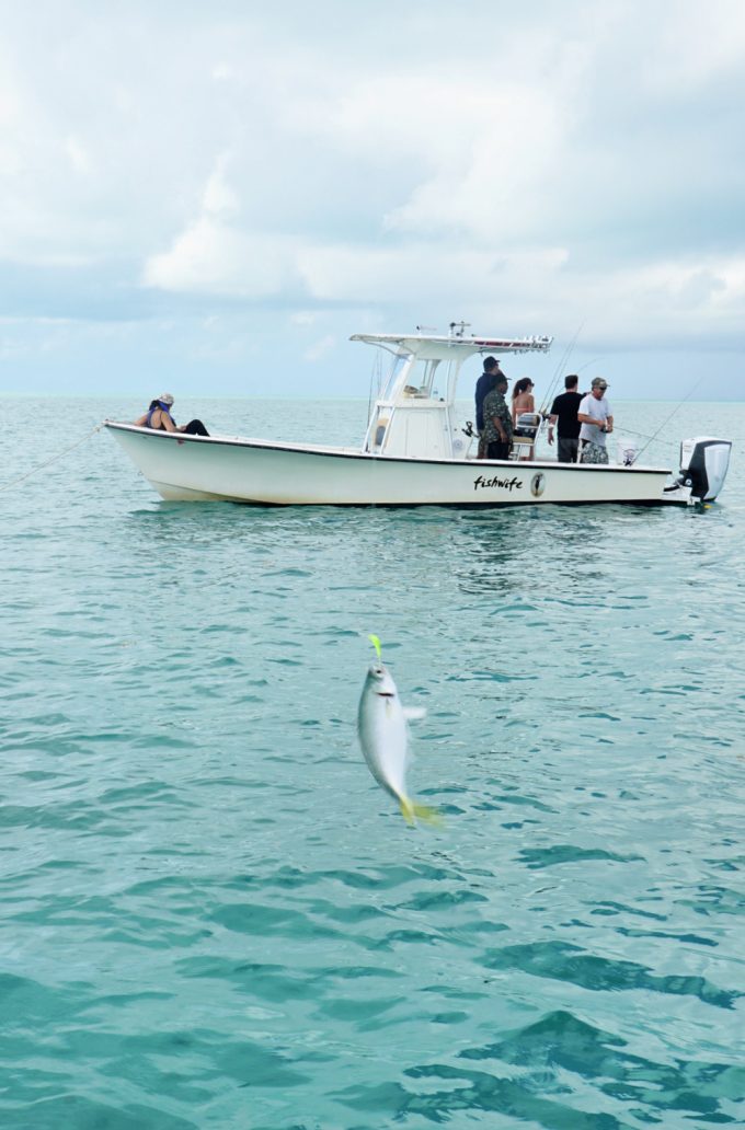 Sheet Pan Cheesecake - The Rebel Chick