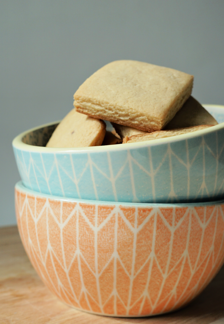 Vanilla Protein Snack Cookies