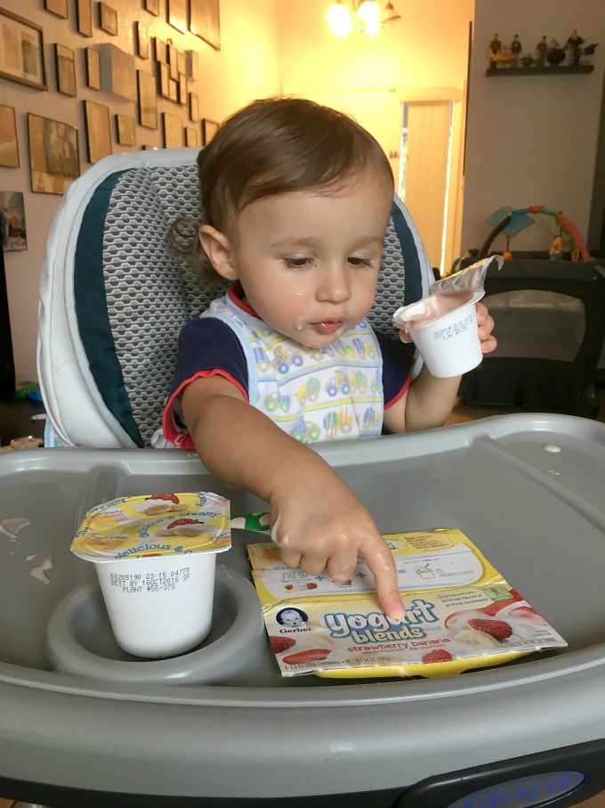 Nestle Gerber 3 - The Rebel Chick