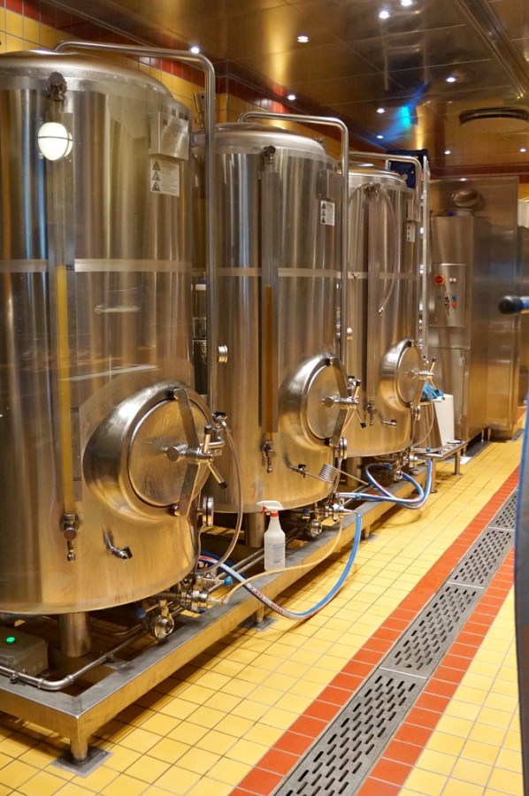 The RedFrog Pub Brewery on the Carnival Vista - The Rebel Chick