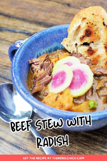 Beef Stew with Radish - The Rebel Chick