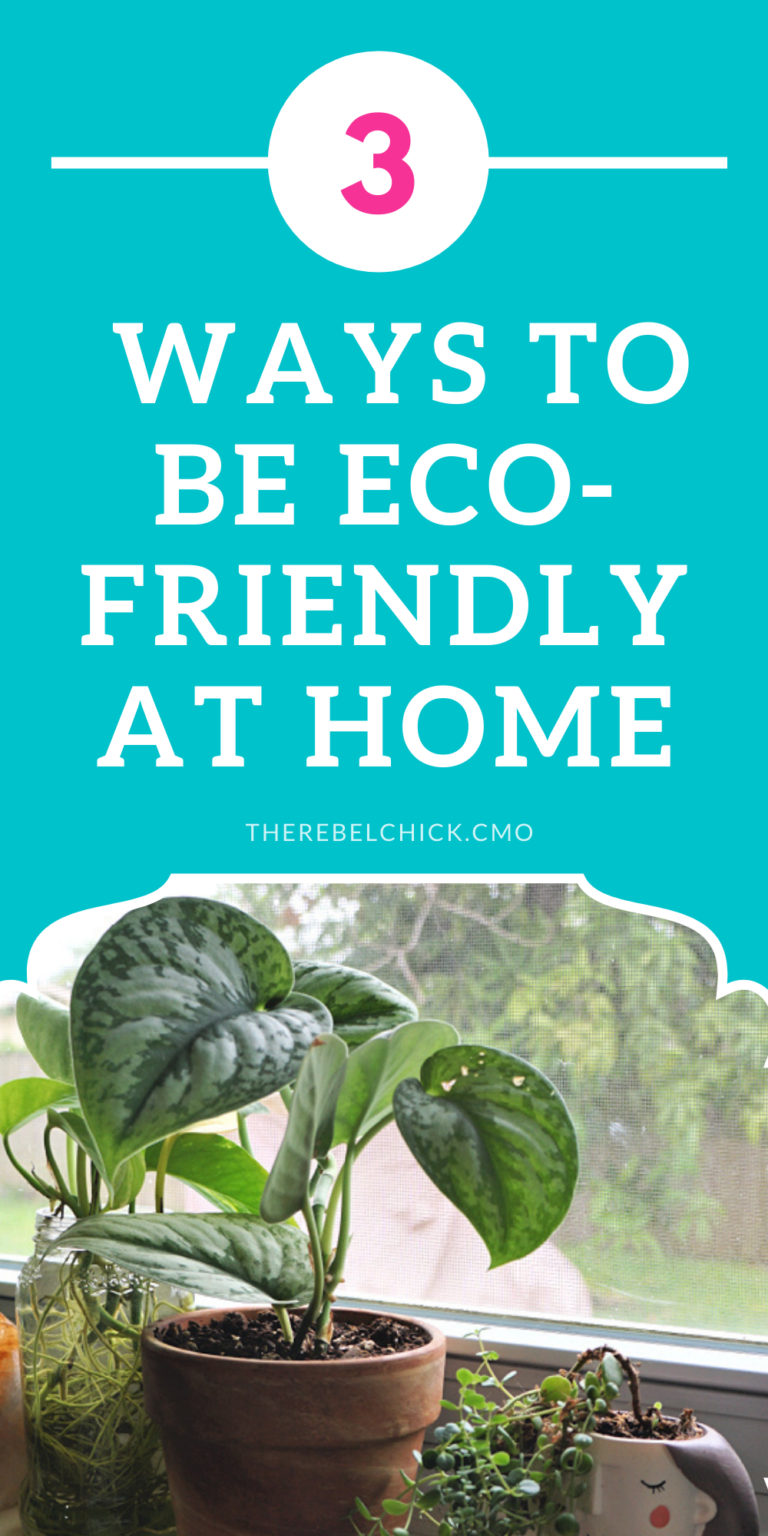 3 Ways to Be More Eco Friendly at Home - The Rebel Chick