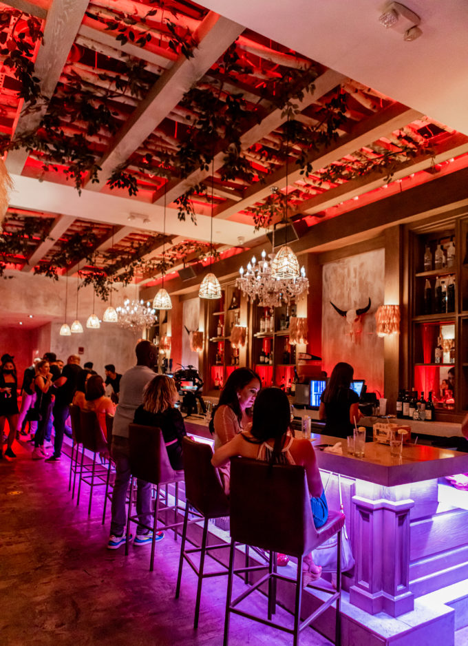 Where to Celebrate Halloween in Miami - The Rebel Chick