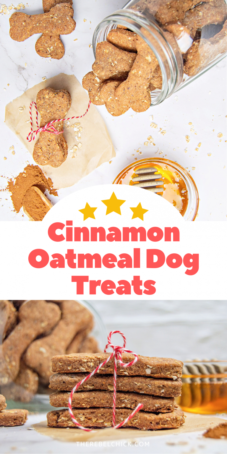 Homemade Cinnamon Oatmeal Dog Treats Recipe