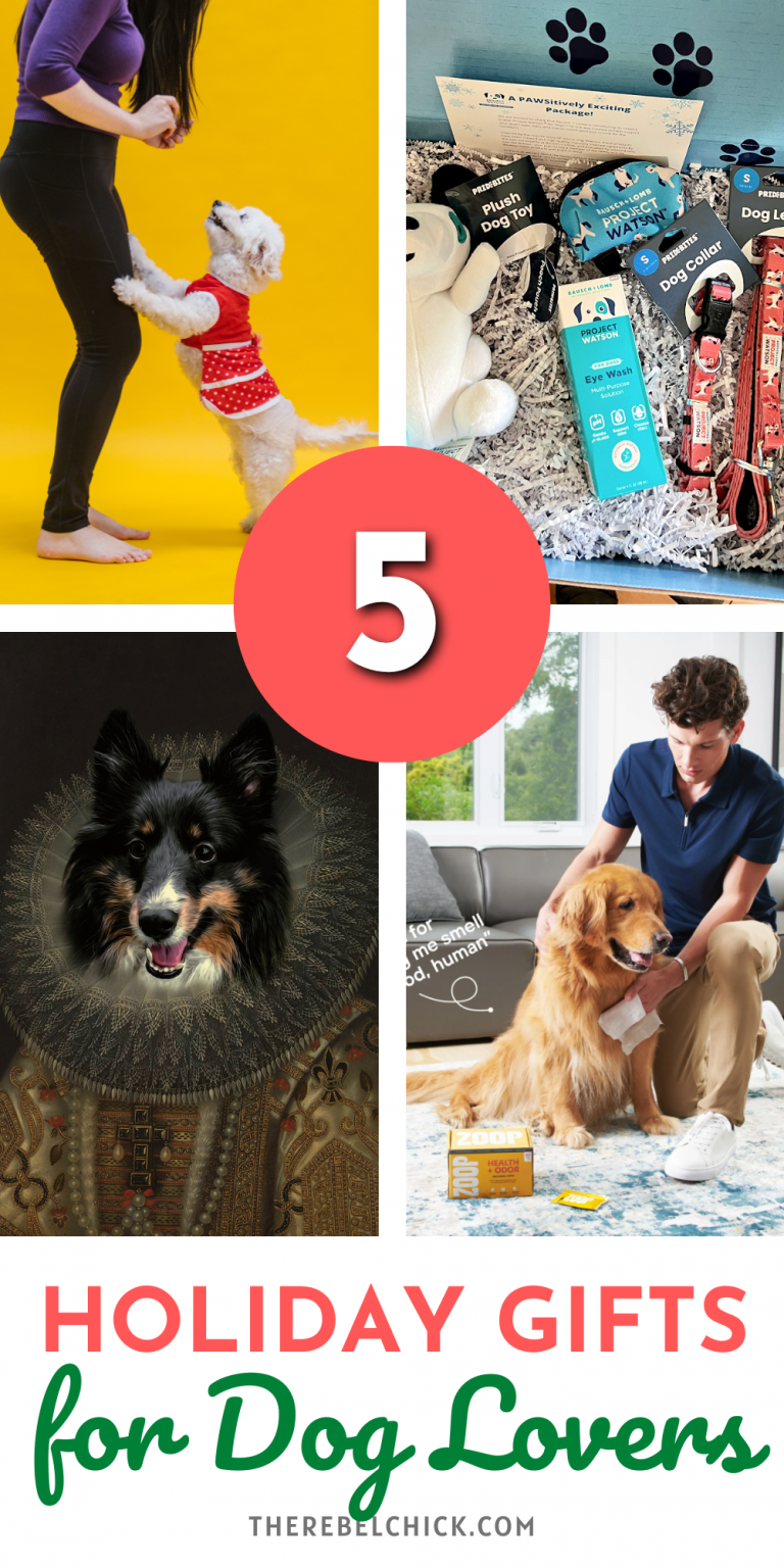 Top 5 Holiday Gifts for Dog Lovers - The Rebel Chick