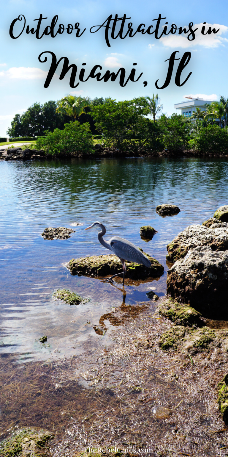Outdoor Activities in Miami- The Rebel Chick