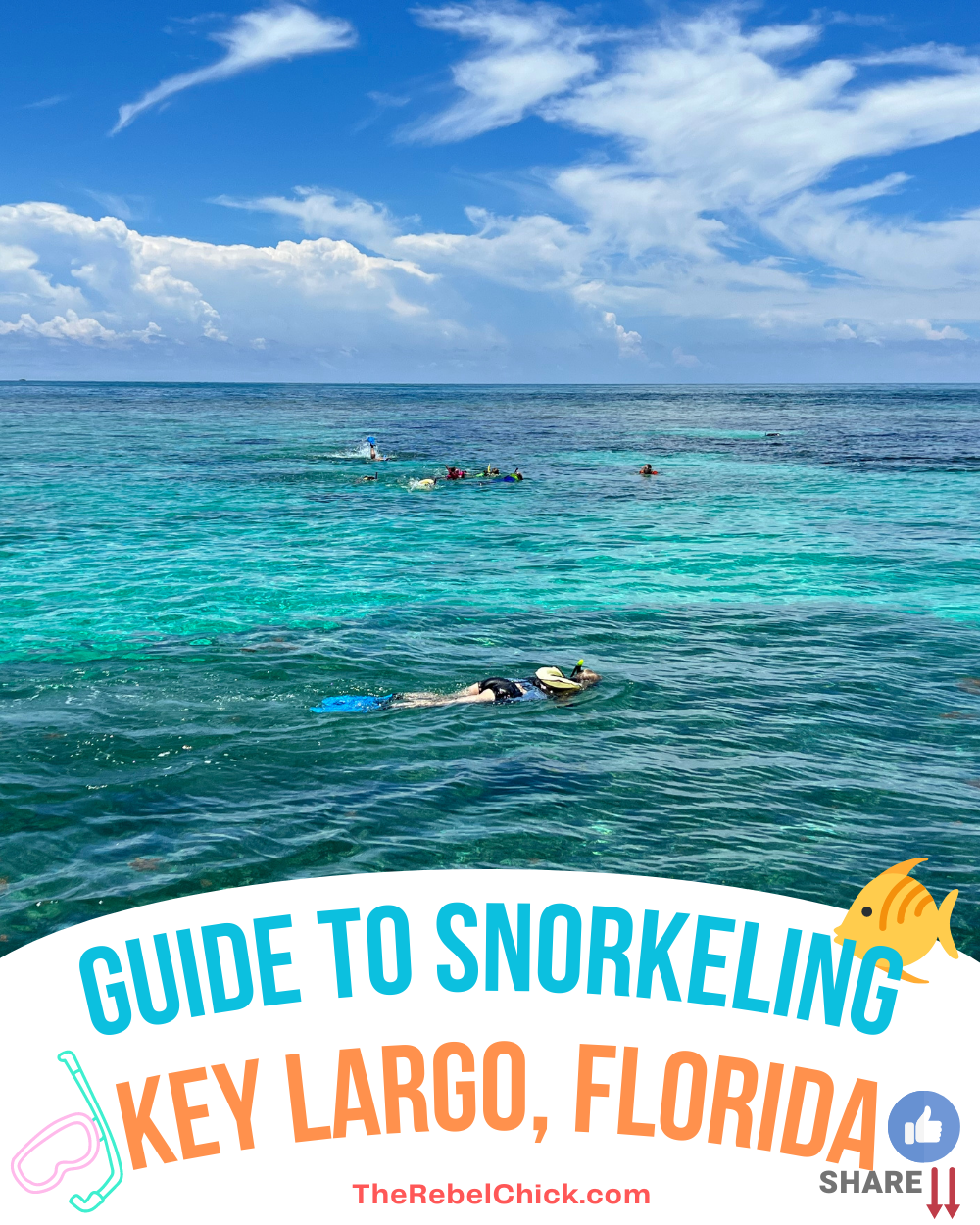 Key Largo Snorkeling