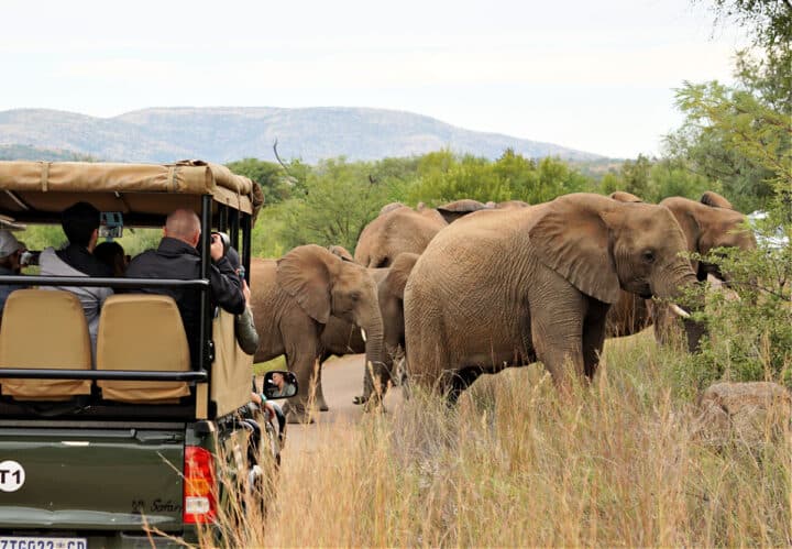 Crazy Bucket List Ideas - The Rebel Chick