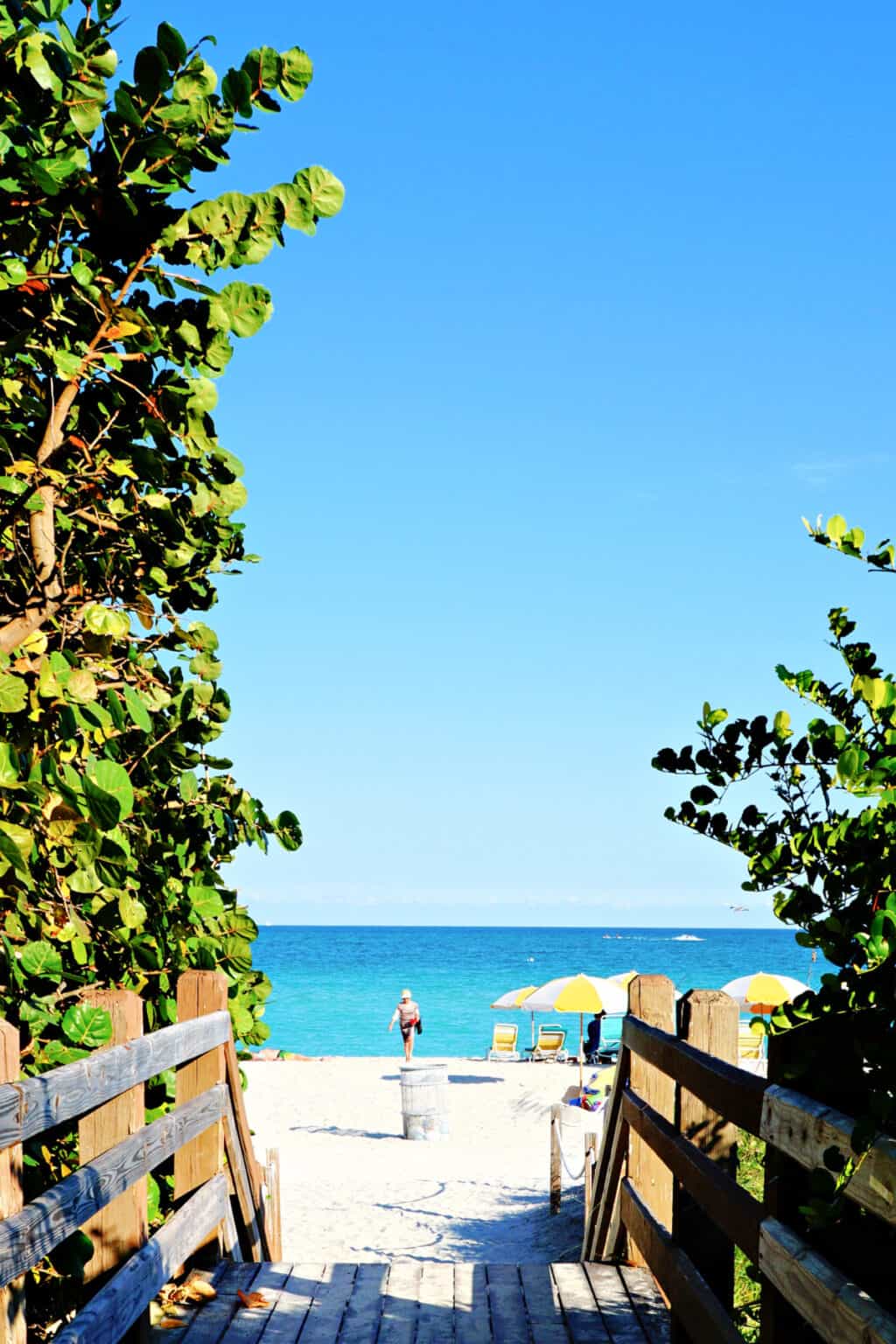 How A Rewards Program Can Uplift Your Experience At The Best Dispensary ...