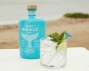 5 Summer Games Cocktails Recipes - The Rebel Chick