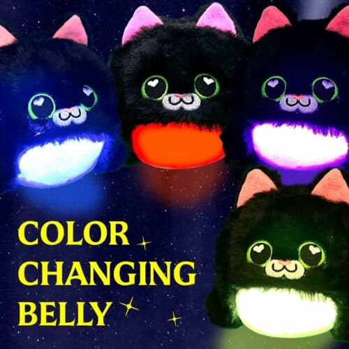 Summer Activities with Predicto Cat - The Rebel Chick