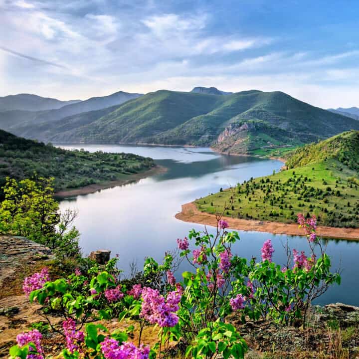 Cherry Chip Cake - The Rebel Chick