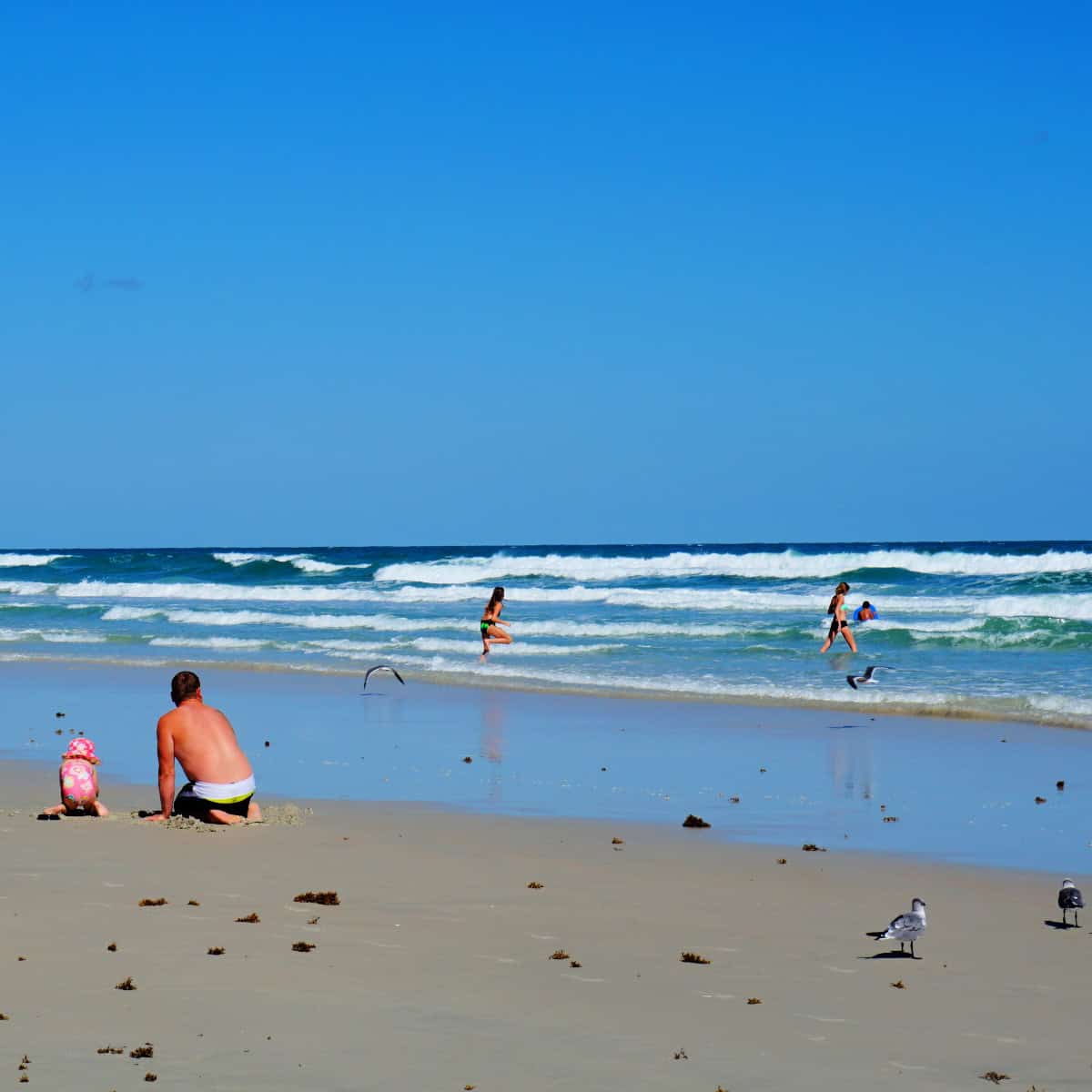 Our Favorite Family-Friendly Things to Do in Florida - The Rebel Chick