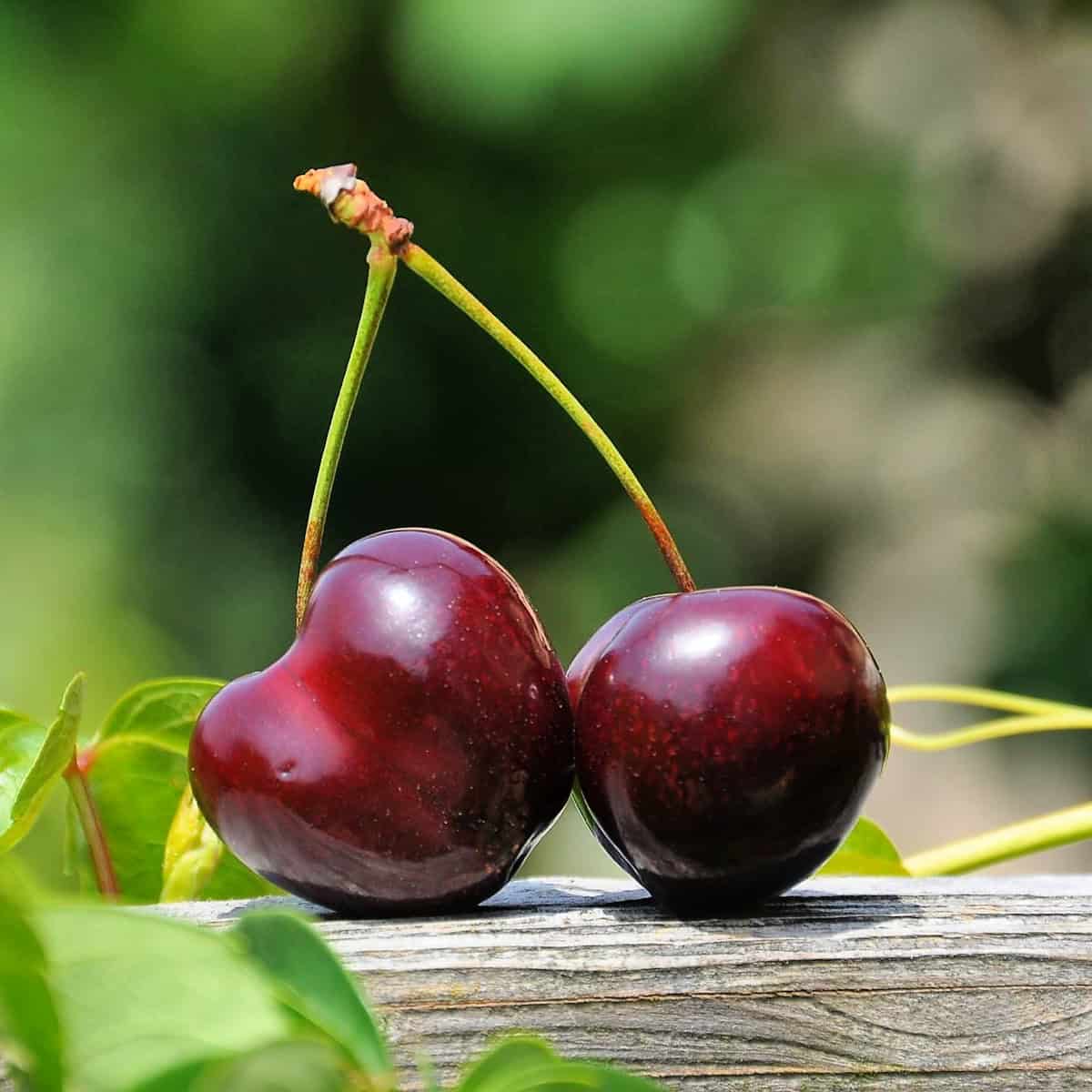10 Delicious Cherry Dessert Recipes - The Rebel Chick