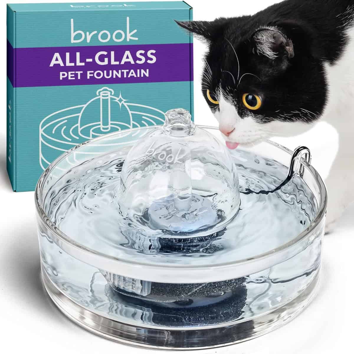 The First All-Glass Fountain for Pets - The Rebel Chick