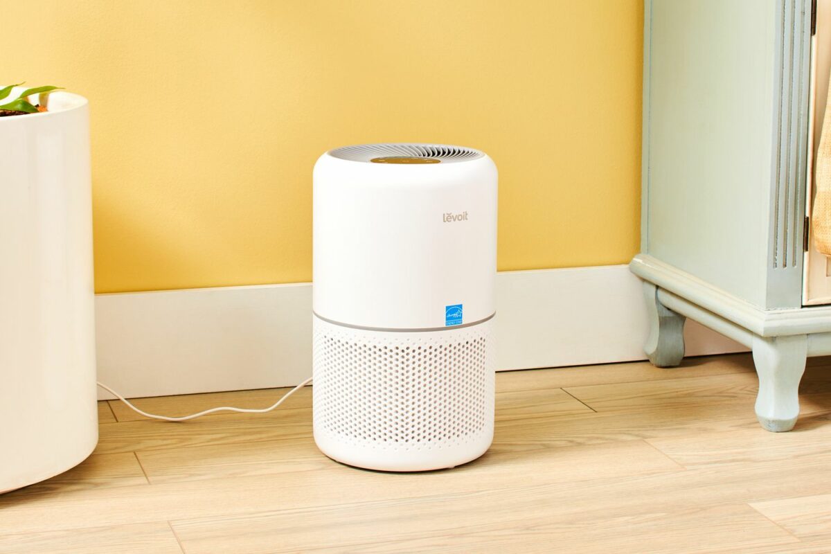 Understanding the Role of an Air Purifier in Cleaner Living - The Rebel ...