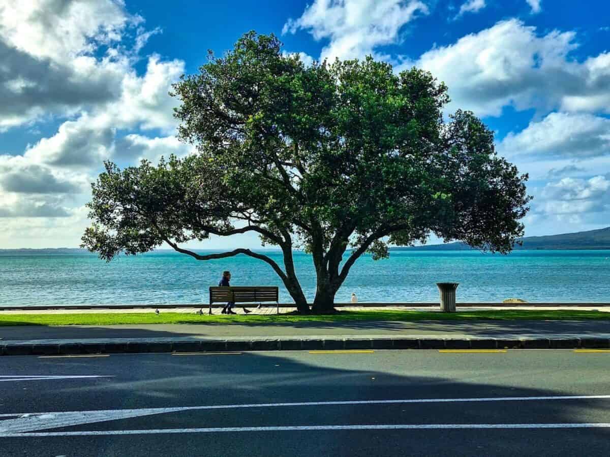 Family-Friendly Auckland: Why You’ll Want Your Own Wheels - The Rebel Chick